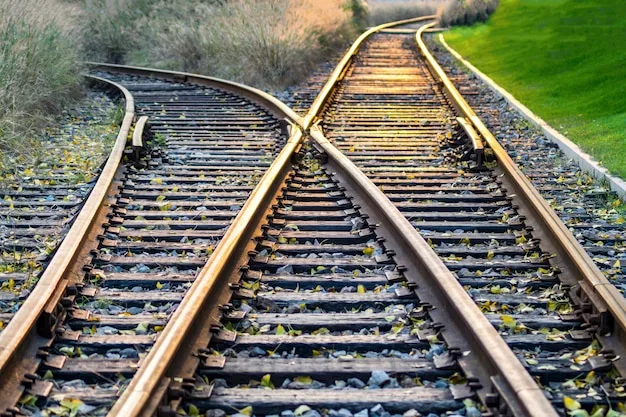 Le Togo explore des partenariats ferroviaires avec l’Afrique du Sud ...
